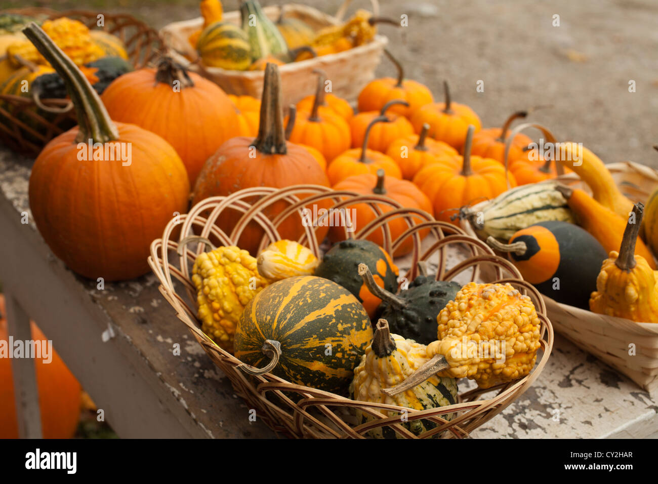 Autumn display vermont hi-res stock photography and images - Alamy