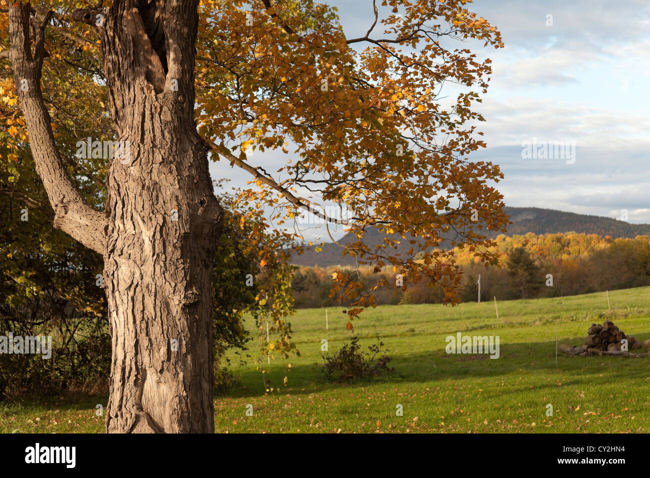 Fall autumn vermont hi-res stock photography and images - Alamy