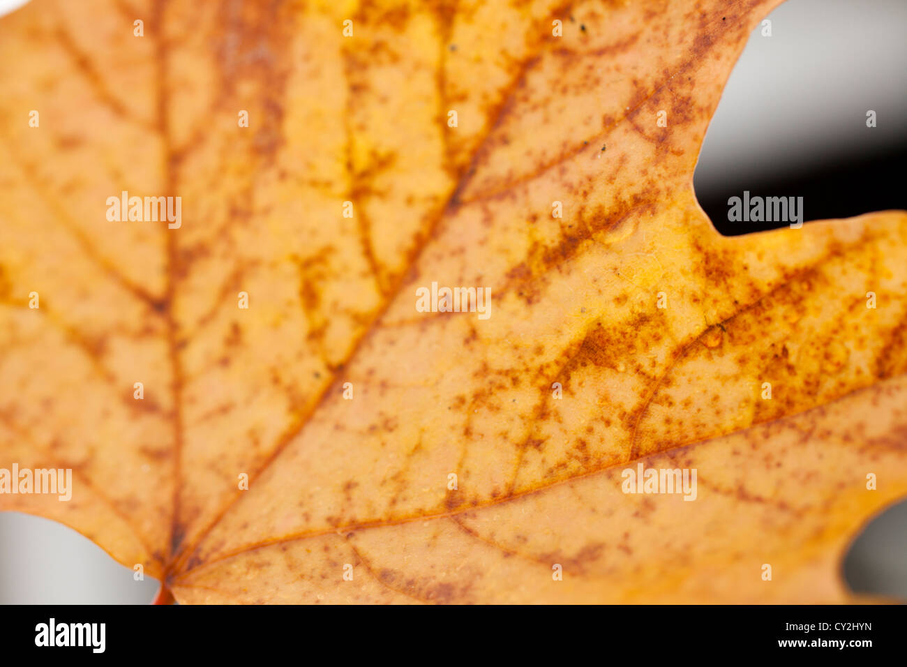 Montgomery vermont hi-res stock photography and images - Alamy