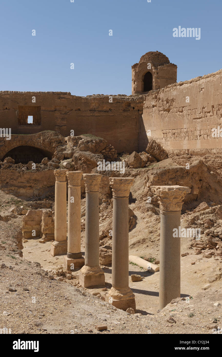 Qasr al hayr al sharqi hi-res stock photography and images - Alamy