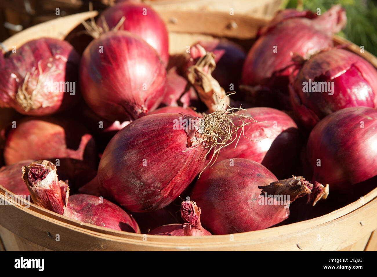 Bermuda onions hi-res stock photography and images - Alamy