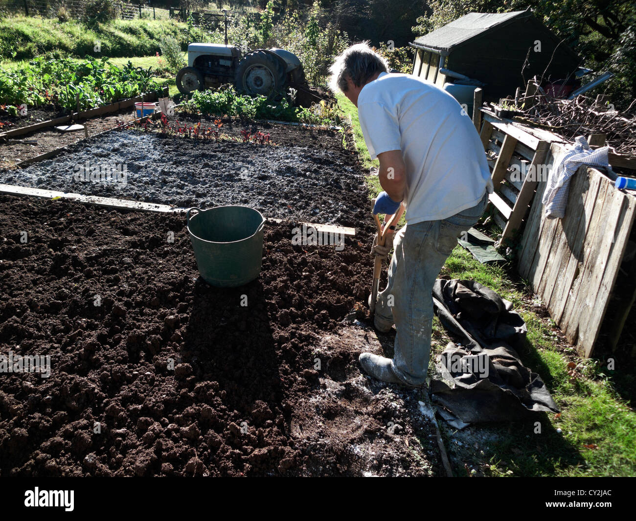 An old older elderly man digging the garden working work dig over ...