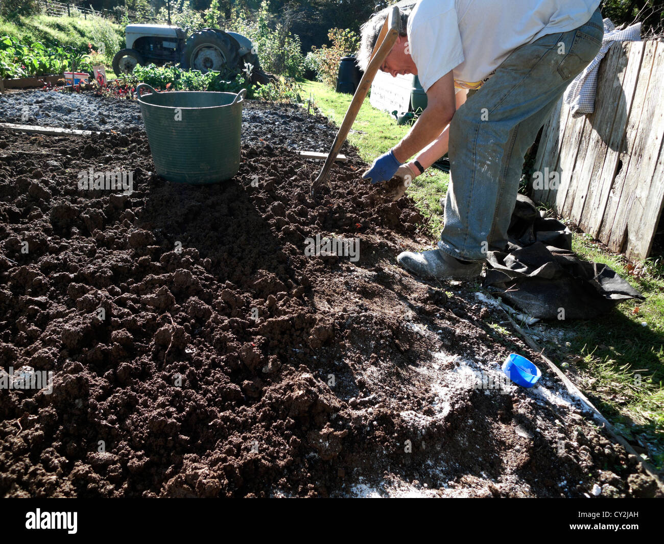 An old older elderly man digging the garden working work dig over ...