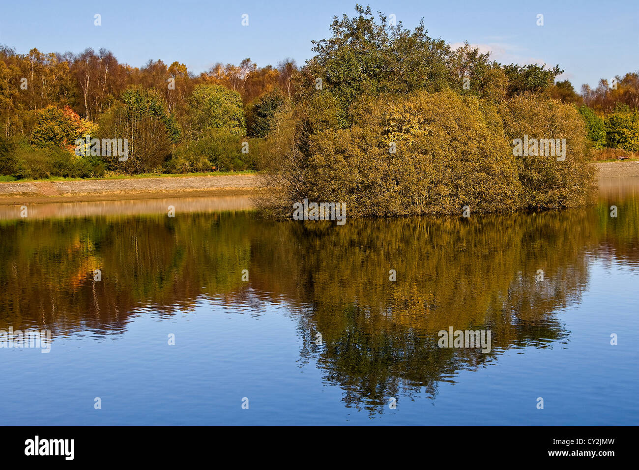 Autumn reflections on Clatto Park Pond in urban Dundee,UK Stock Photo ...