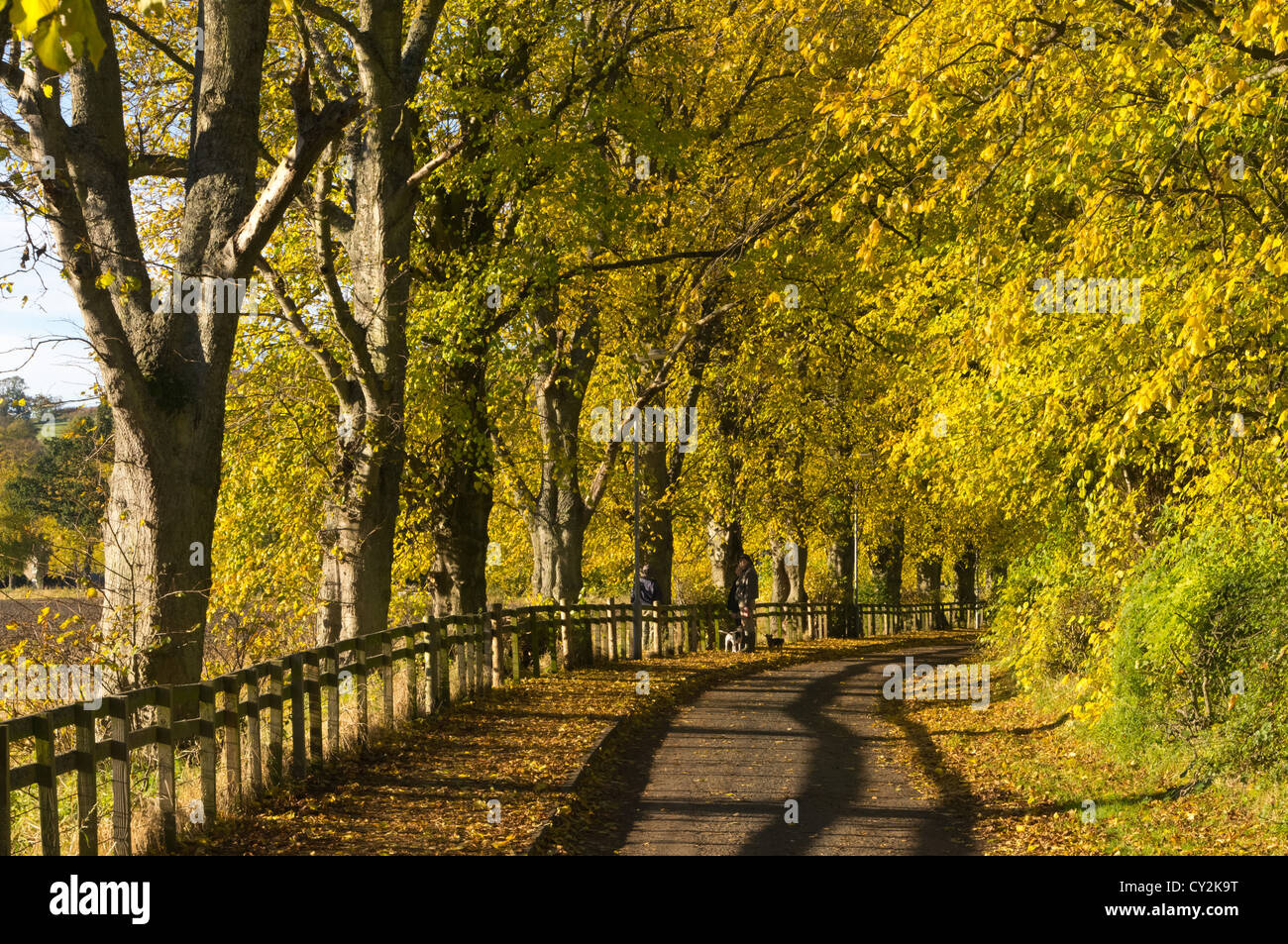 Gattonside High Resolution Stock Photography and Images - Alamy