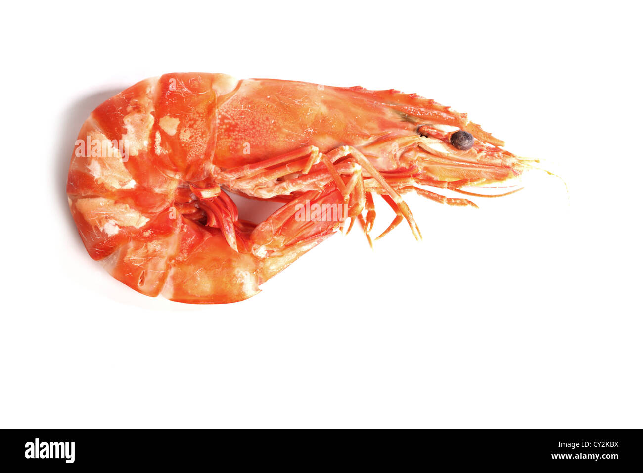 Shellfish jumbo shrimp Cut Out Stock Images & Pictures - Alamy