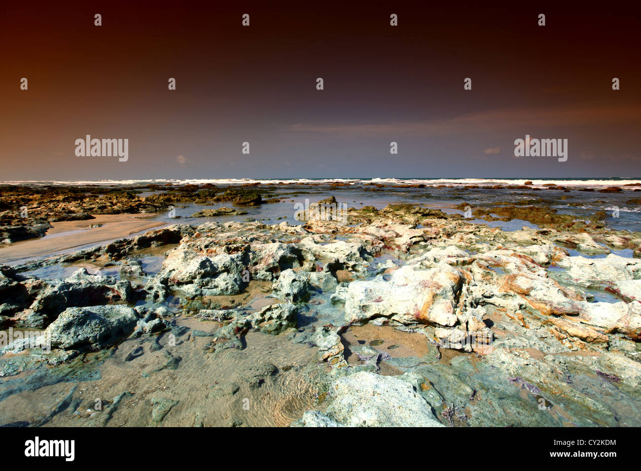 Reef stones an ocean water Stock Photo - Alamy