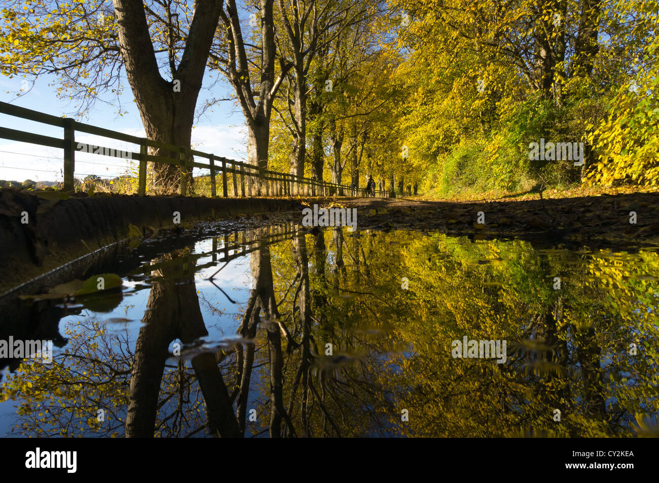 Gattonside village hi-res stock photography and images - Alamy