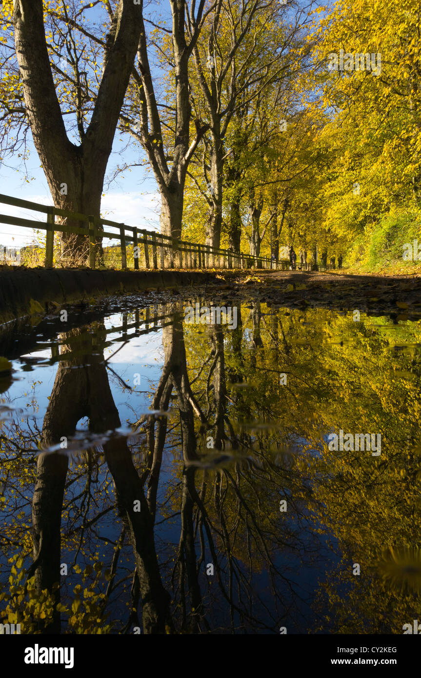 Gattonside hi-res stock photography and images - Alamy