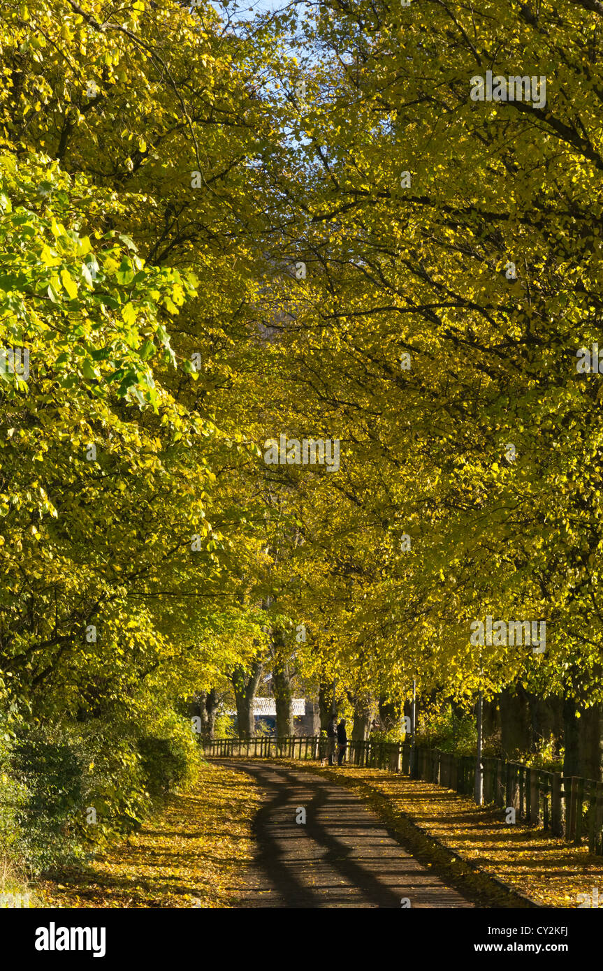 Gattonside village hi-res stock photography and images - Alamy