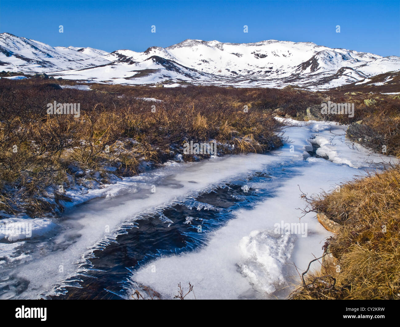 spring arrives early on the Hardanger , Norway Stock Photo - Alamy