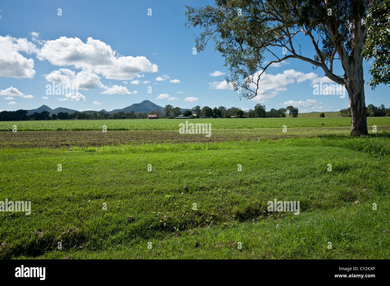 Peak crossing queensland hi-res stock photography and images - Alamy