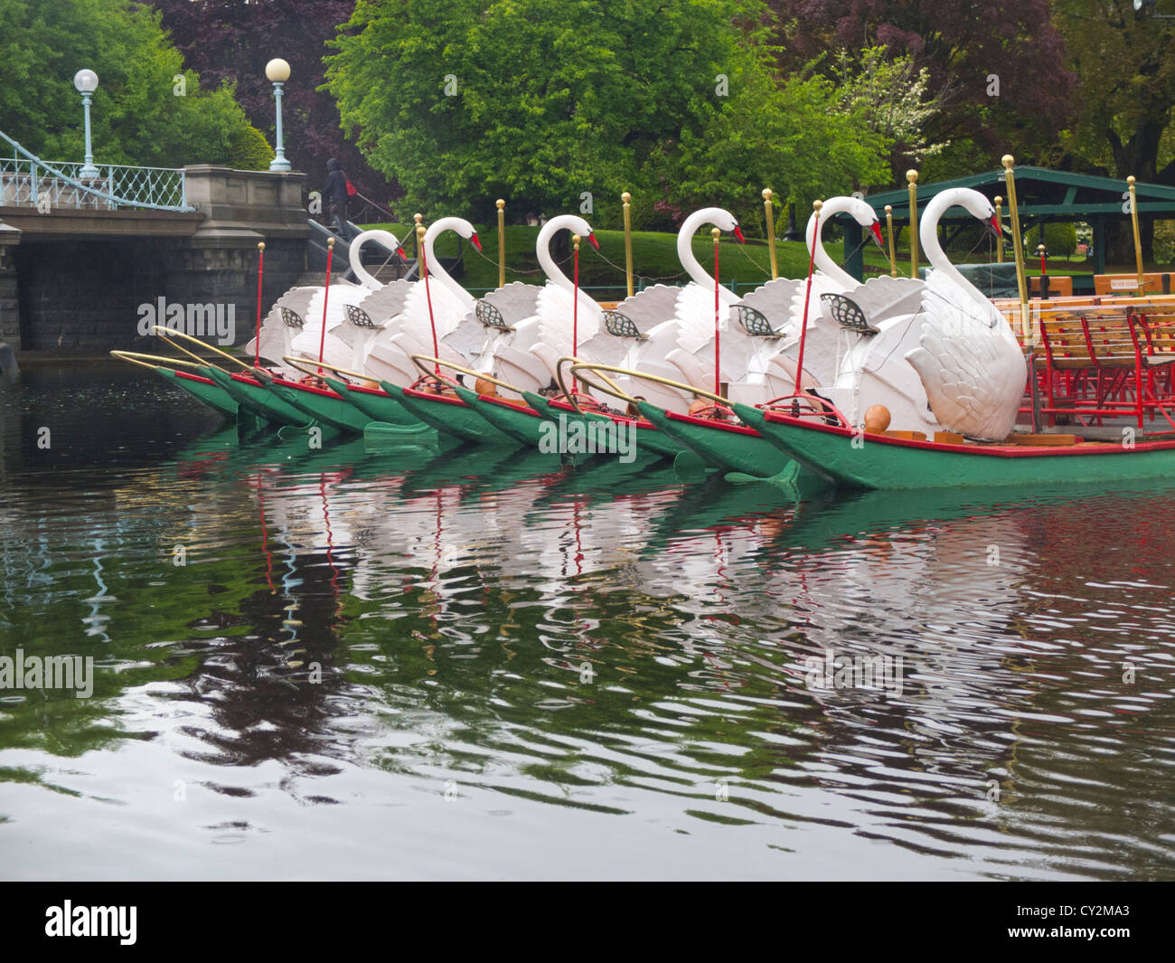 swan boats at the Boston Public Garden Stock Photo - Alamy