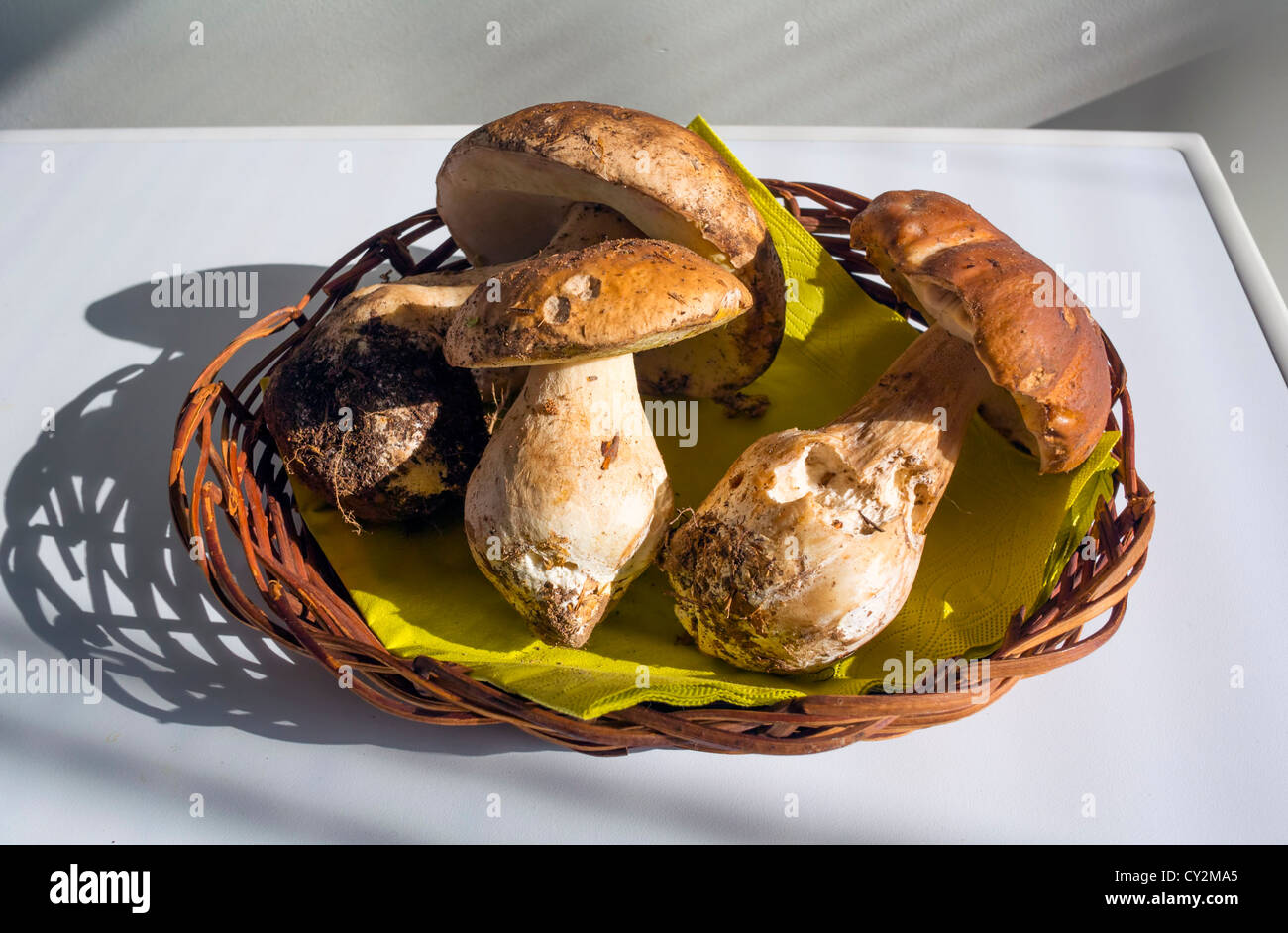 Paris, France, Europe, ceps mushroom Stock Photo - Alamy