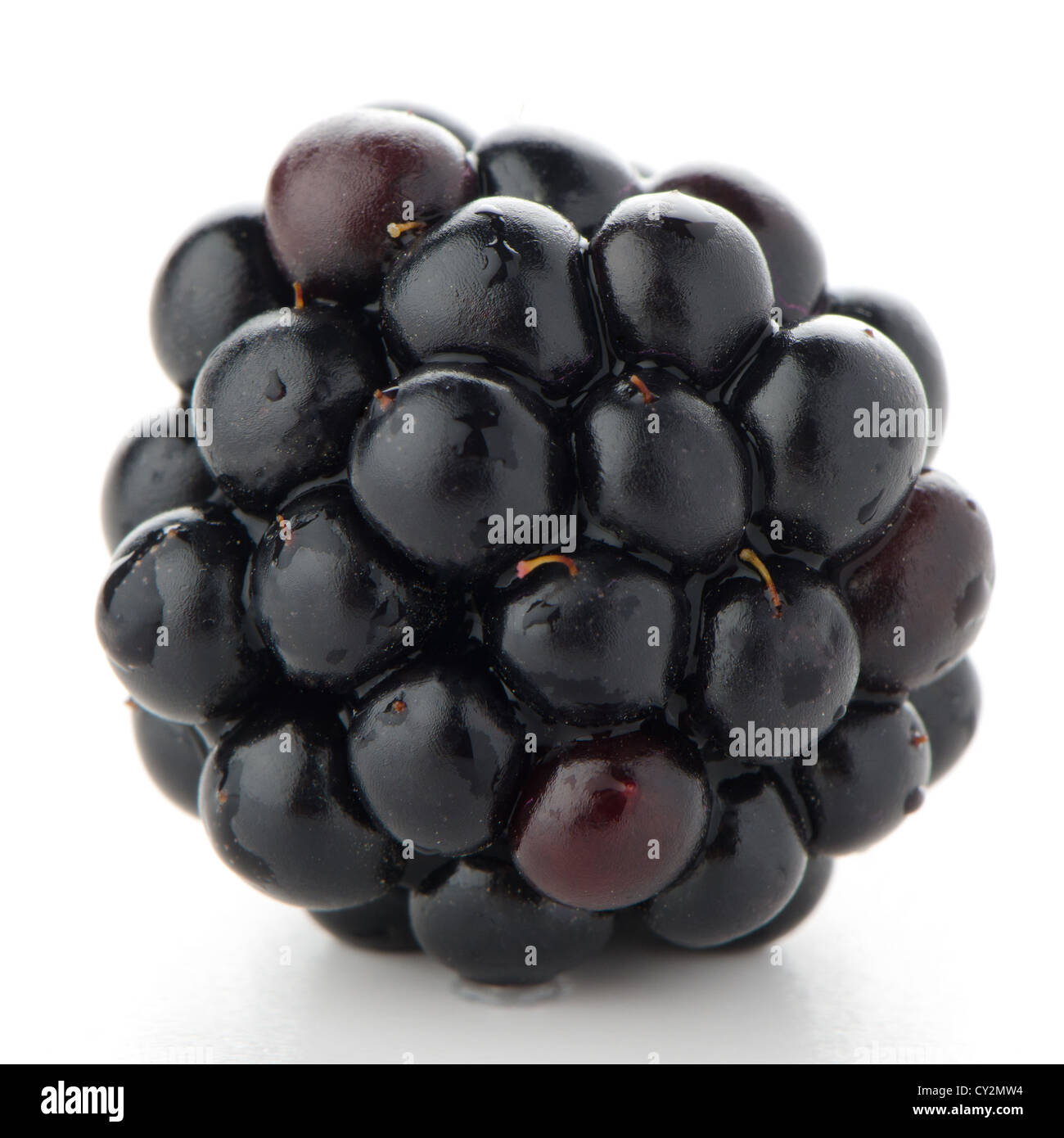 Single blackberry isolated on a white background Stock Photo - Alamy