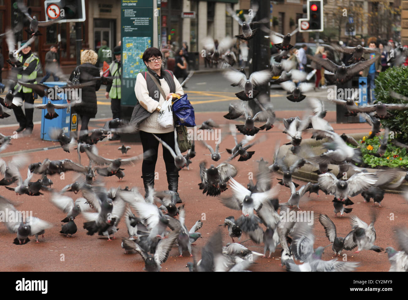 Glasgow pigeons hi-res stock photography and images - Alamy