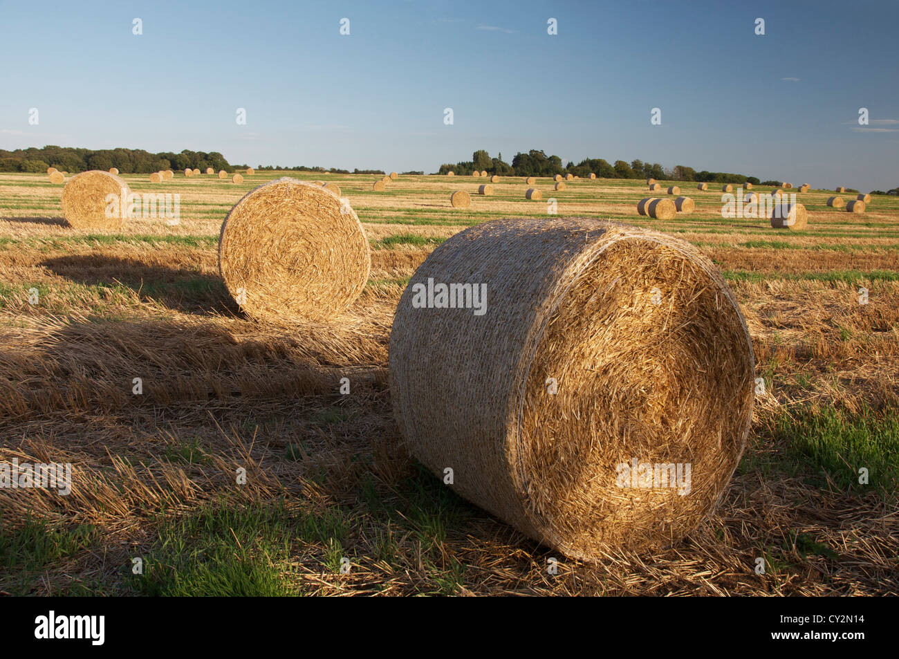 English countryside. Bales of hay scattered in a field on a sunny ...