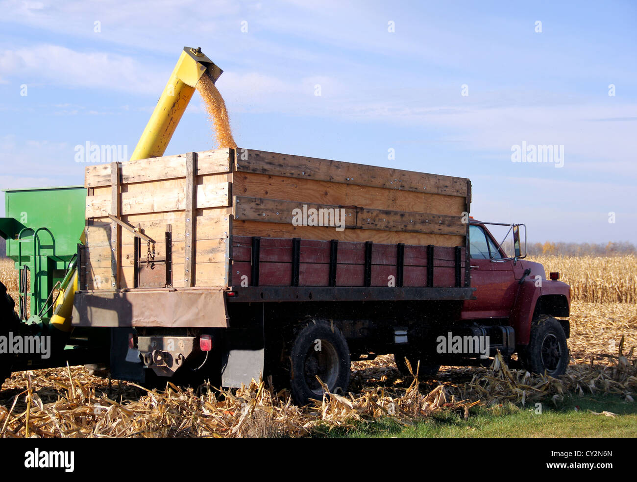farm truck getting loaded from harvesting corn off of a field with a ...