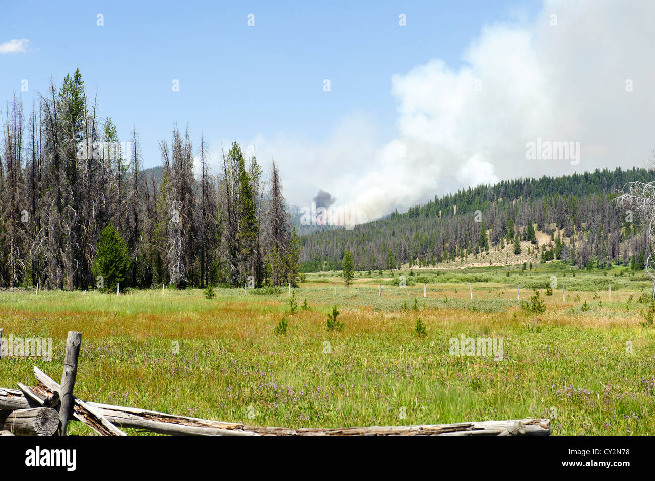 Halstead Fire near Stanley, Idaho, four days after the fire started in ...