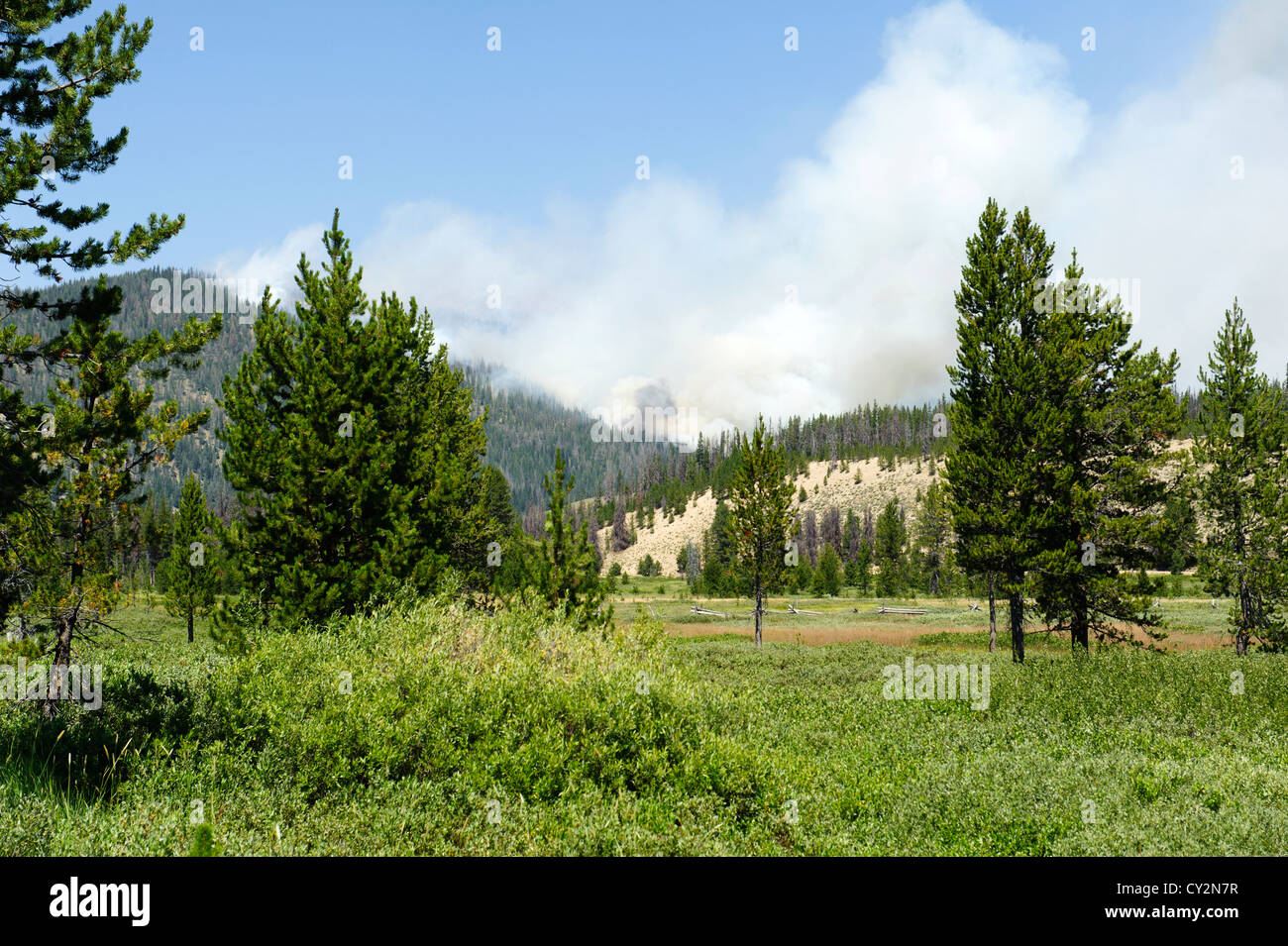 Halstead Fire near Stanley, Idaho, four days after the fire started in ...