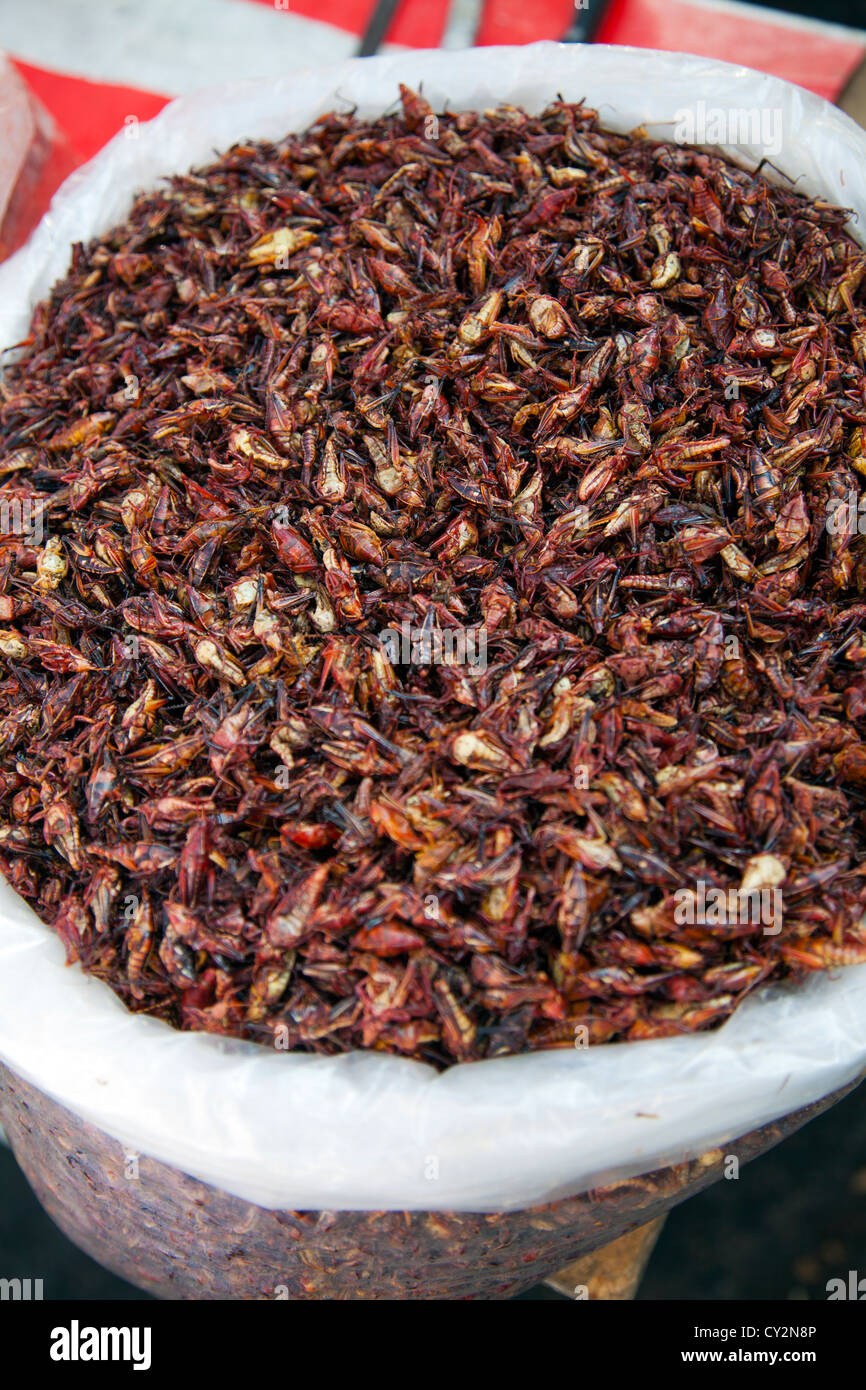 Chapulines