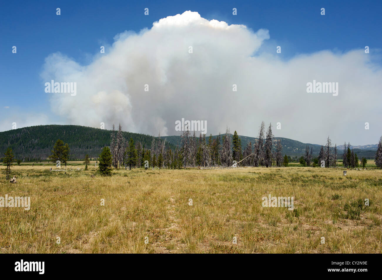 How fire started hi-res stock photography and images - Alamy