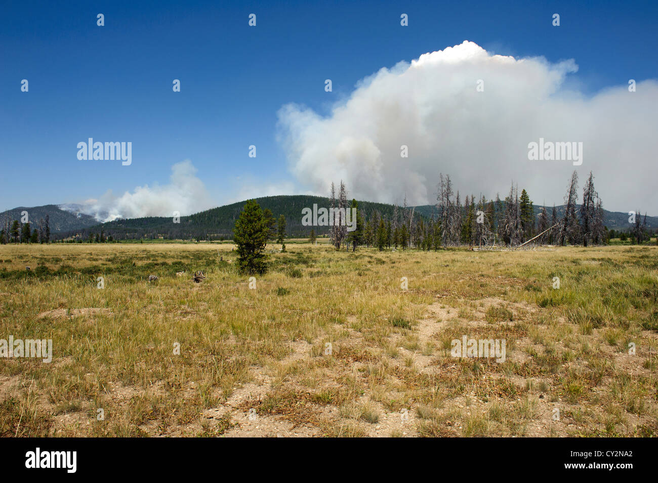 Halstead Fire near Stanley, Idaho, four days after the fire started in ...