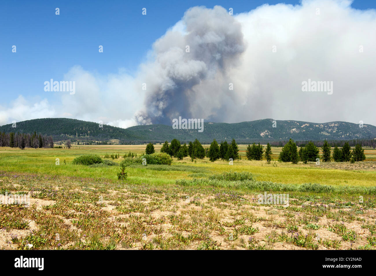 Stanley idaho hi-res stock photography and images - Alamy