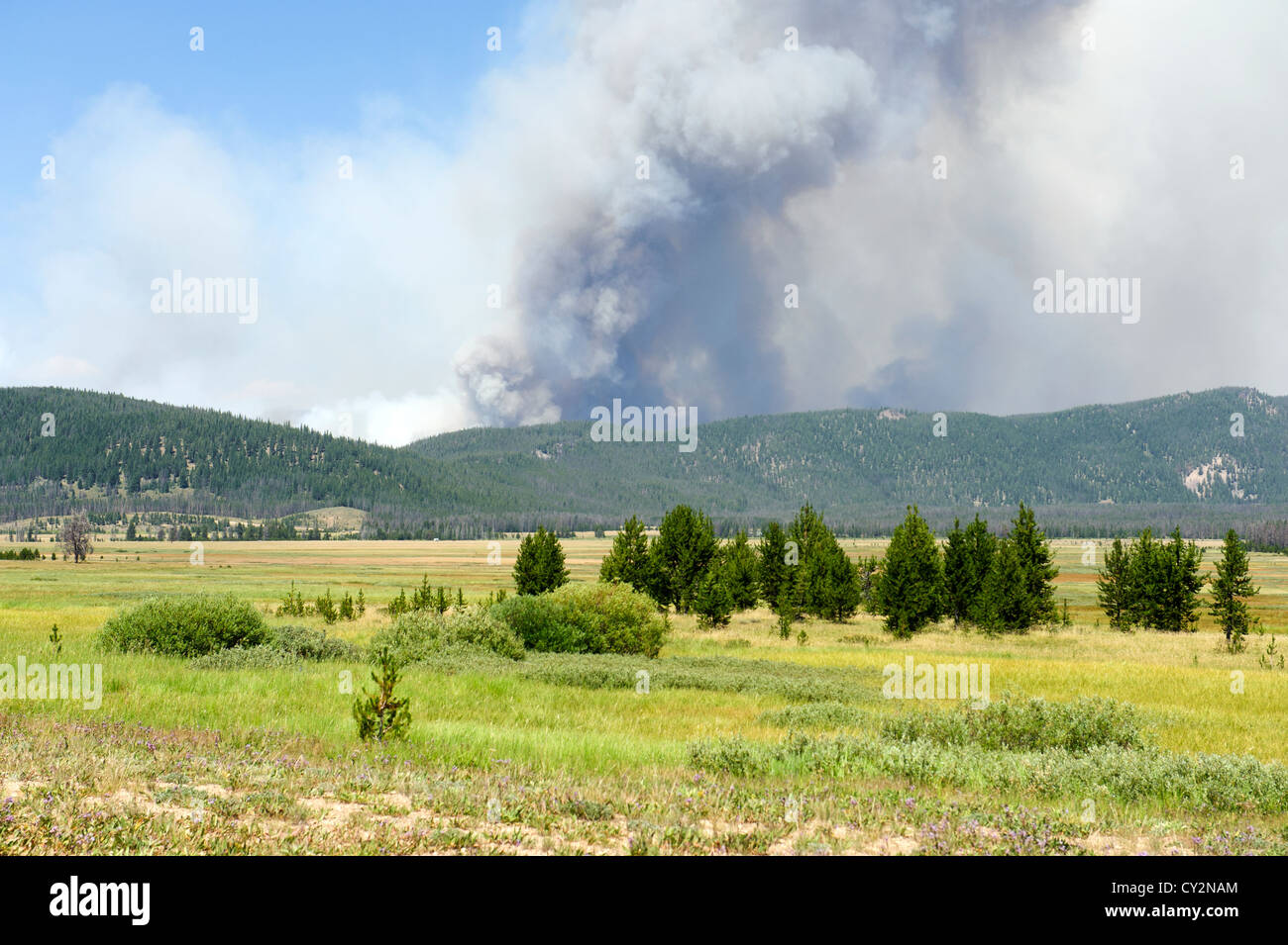 How fire started hi-res stock photography and images - Alamy