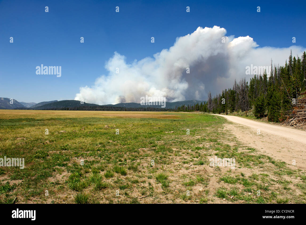 The Halstead Fire near Stanley, Idaho, four days after the lightening ...