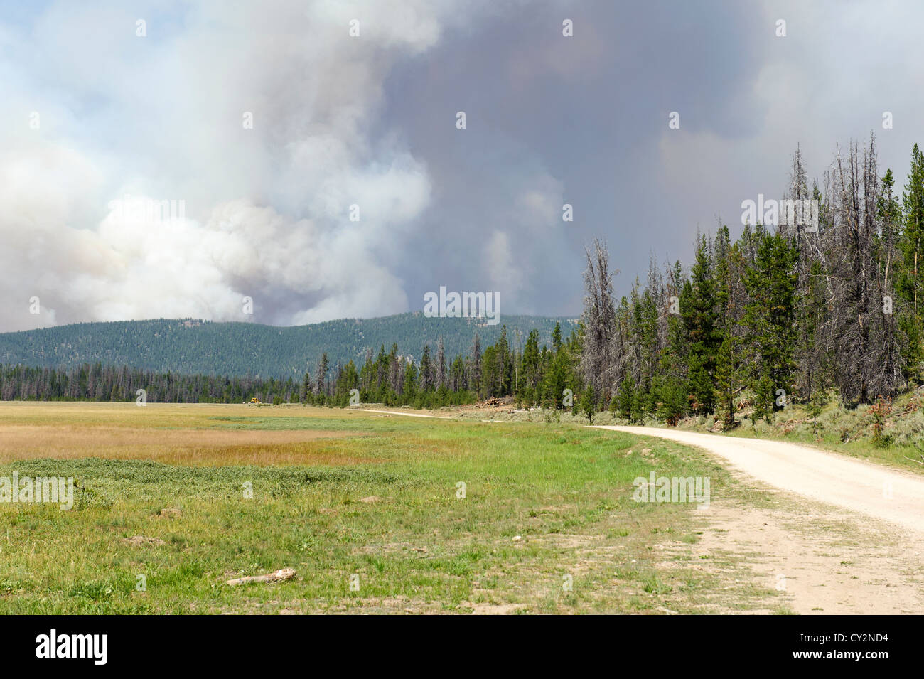 The Halstead Fire near Stanley, Idaho, four days after the lightening ...