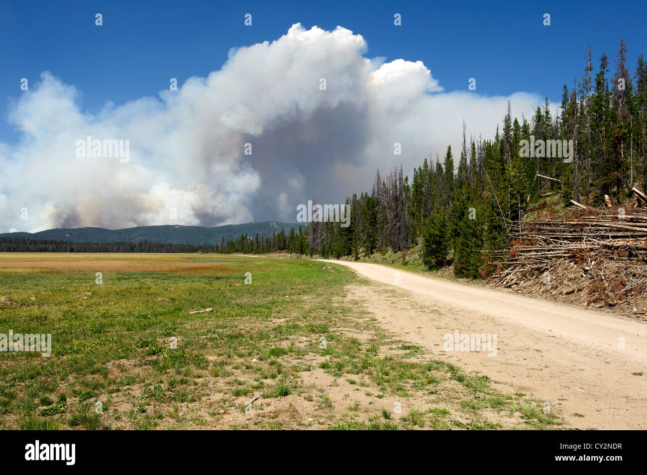 The Halstead Fire near Stanley, Idaho, four days after the lightening ...