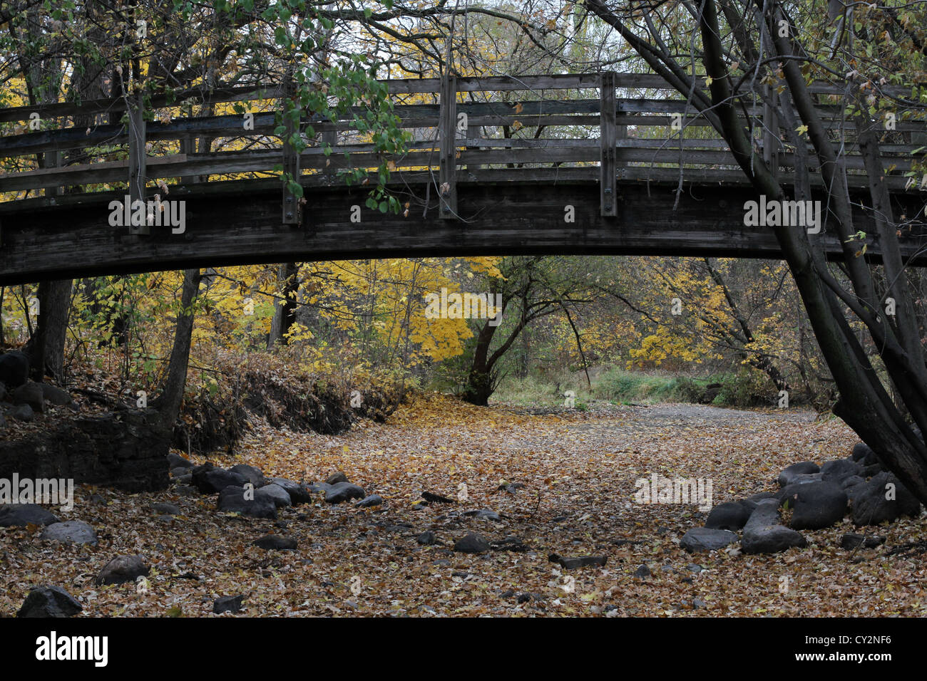 A foot bridge in a park in Minneapolis in autumn Stock Photo - Alamy