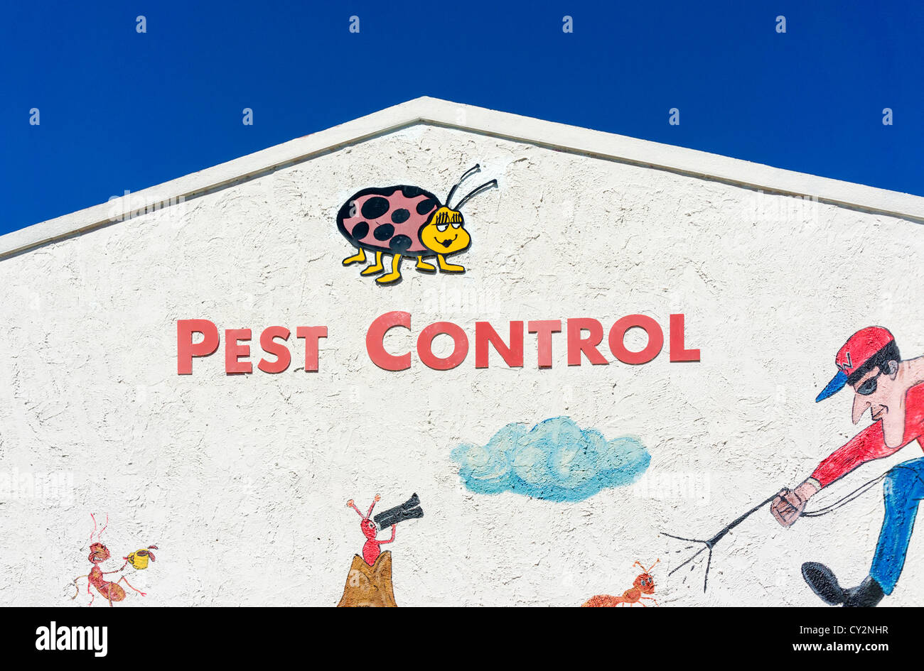 Florida insects hi-res stock photography and images - Alamy