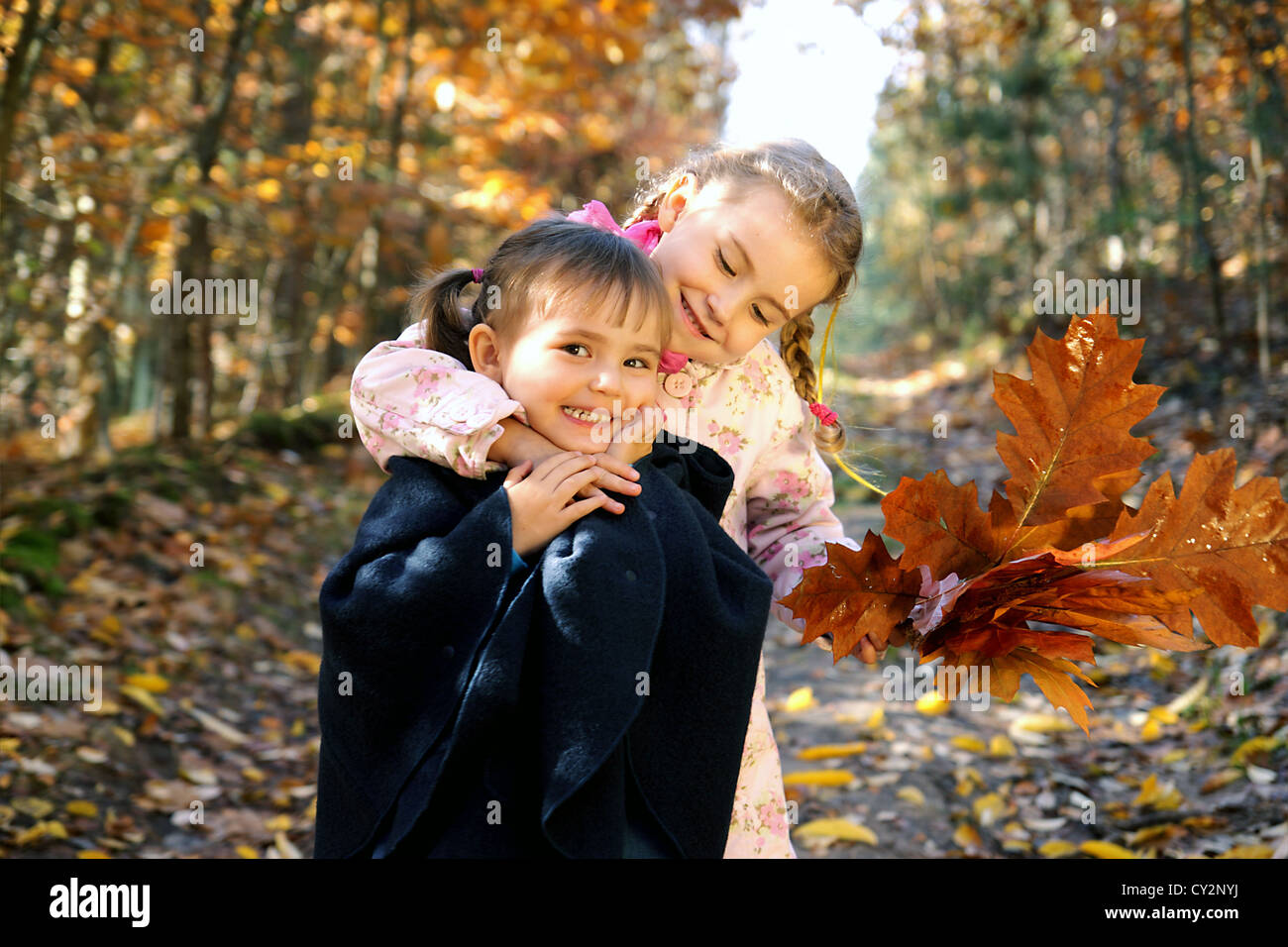 Autumn walk in the woods Stock Photo - Alamy