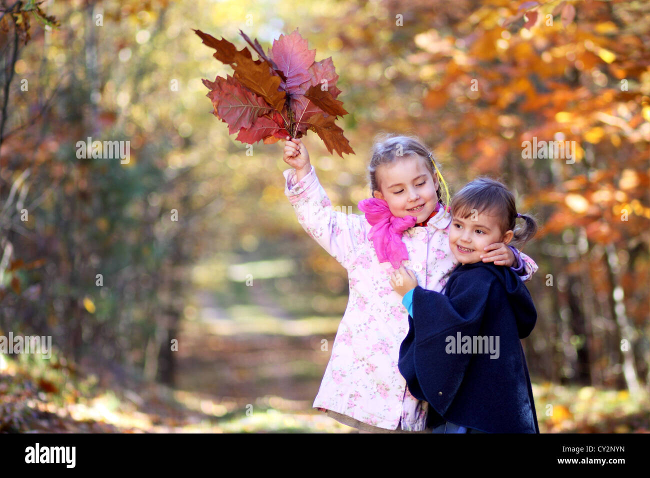 Autumn walk in the woods Stock Photo - Alamy