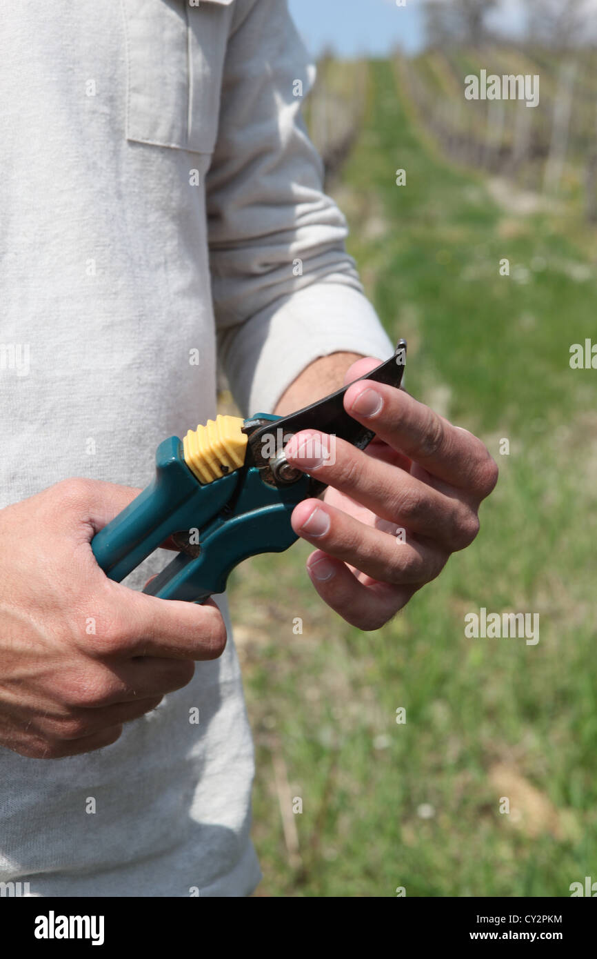 man holding a cutter Stock Photo - Alamy