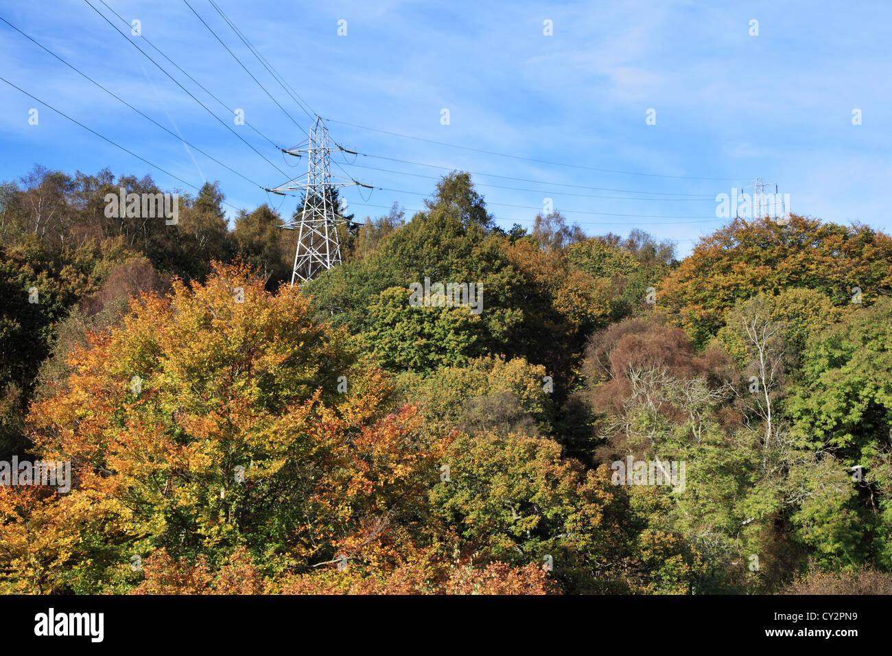 Electricity pylons and autumn colours Derwent Valley Country Park north ...