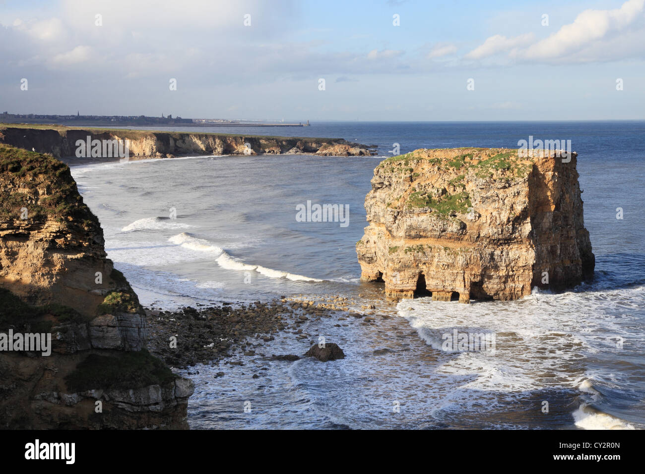 Marsden Rock north sea coast north east England Stock Photo - Alamy