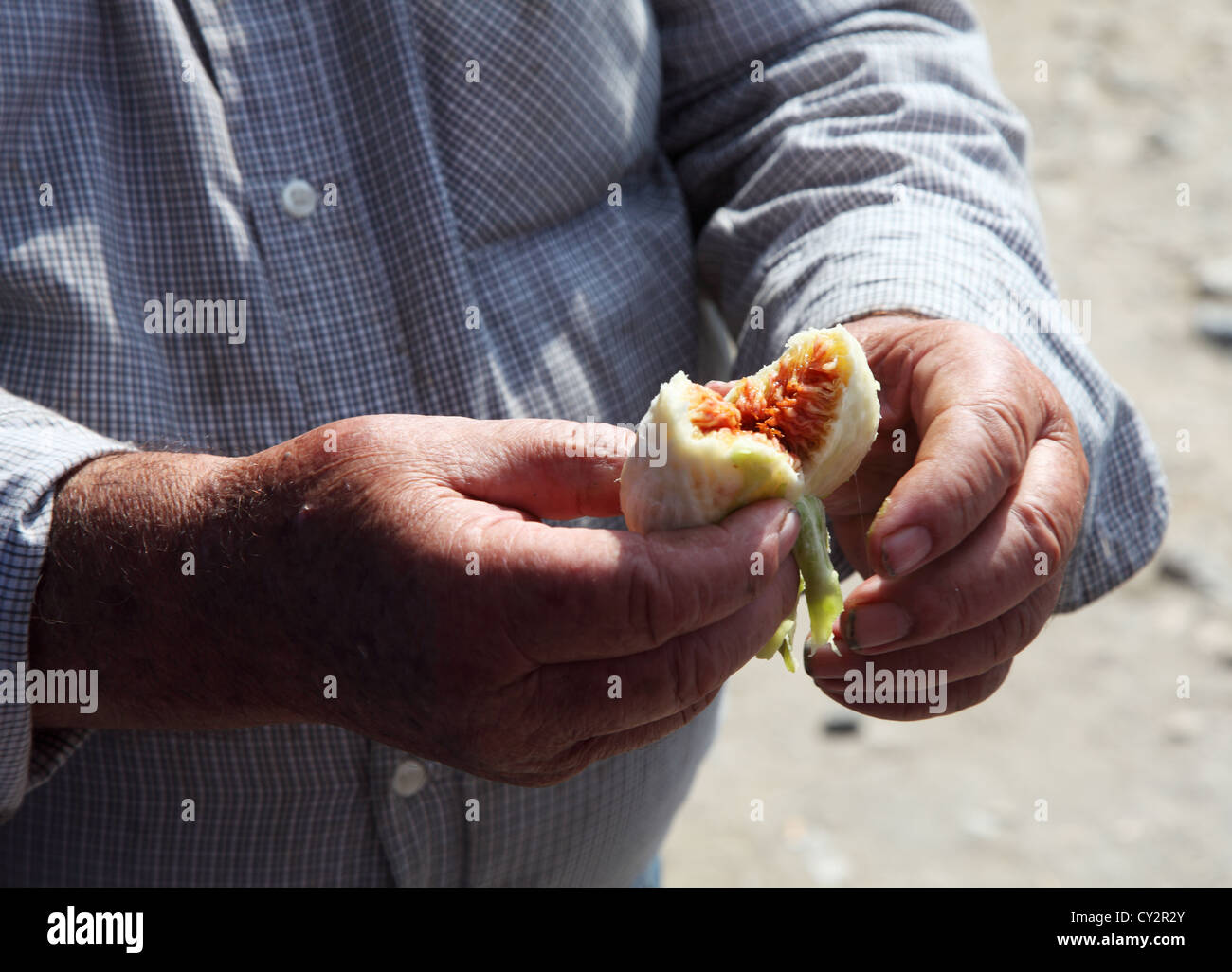 Peeling a fig hi-res stock photography and images - Alamy