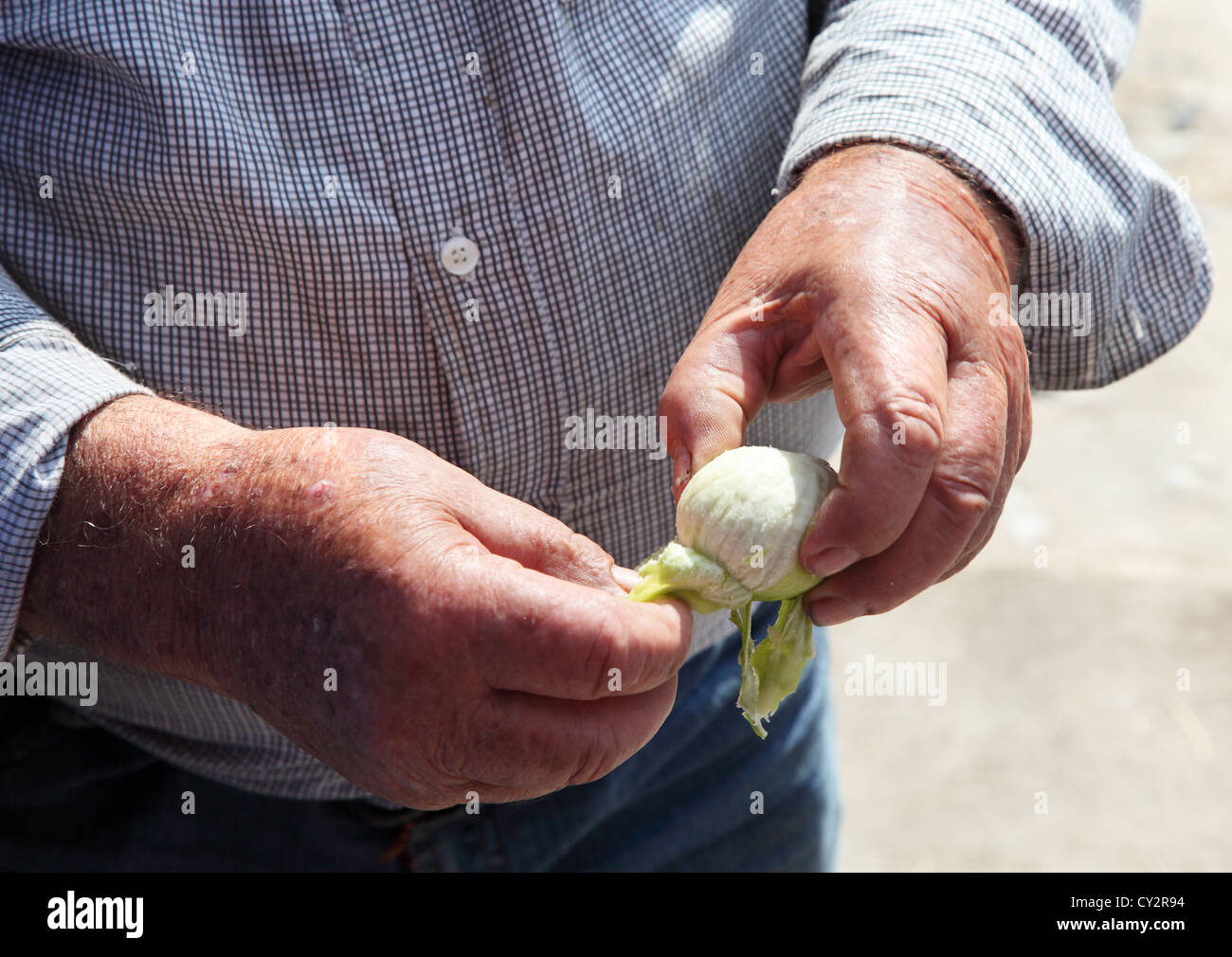 Peeling a fig hi-res stock photography and images - Alamy
