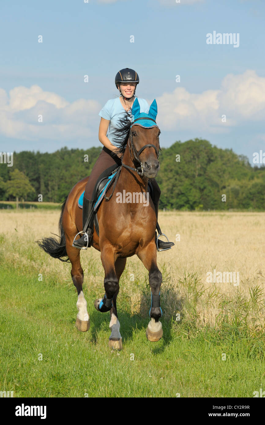 Young rider on back of a galloping Oldenburg breed horse Stock Photo ...