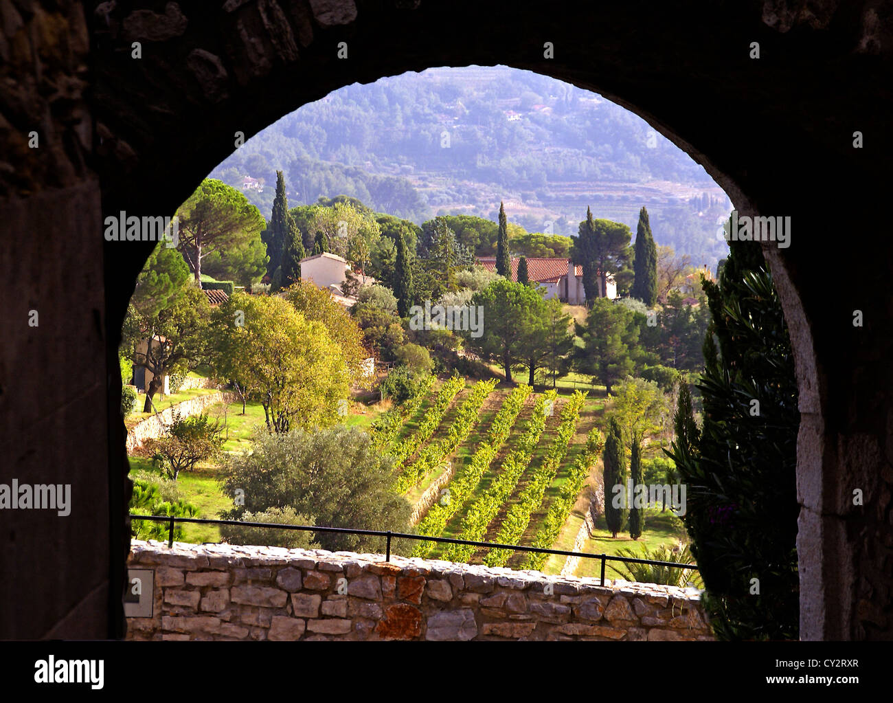 A classic Provencale landscape Stock Photo - Alamy