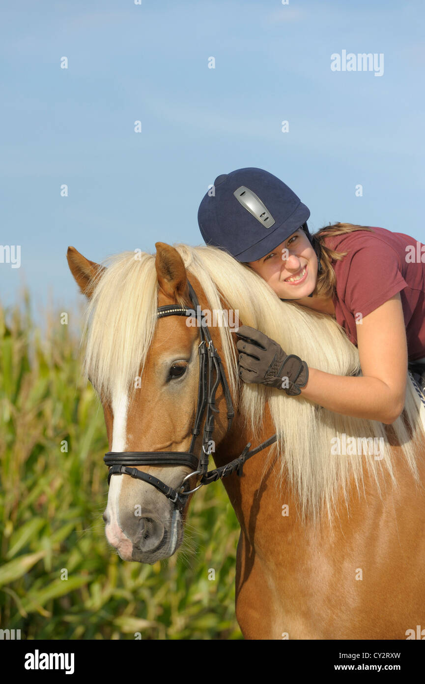 Young Rider and her Haflinger horse Stock Photo - Alamy
