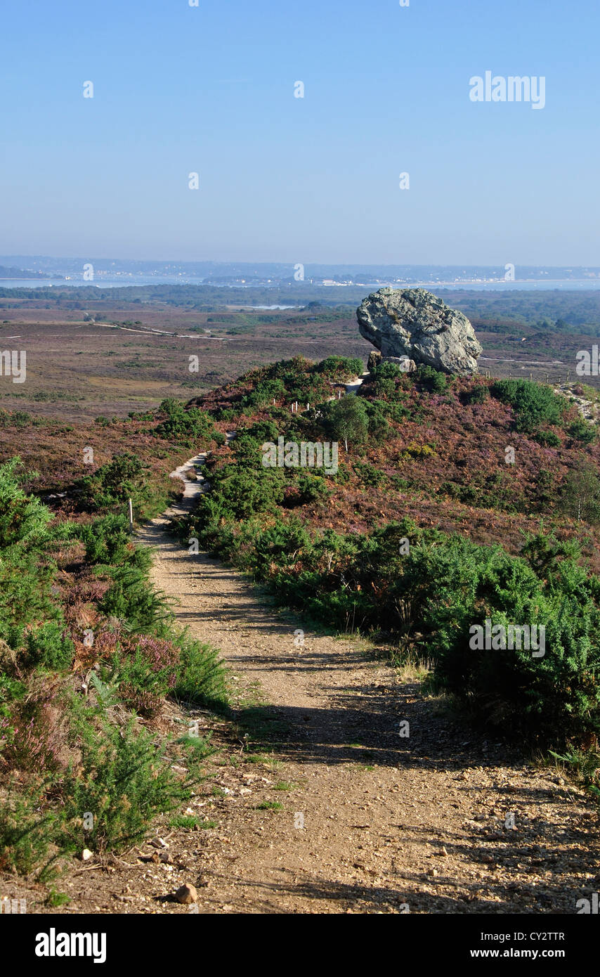 A view of Godlingston Heath NNR and the Agglestone at Dorset UK Stock ...