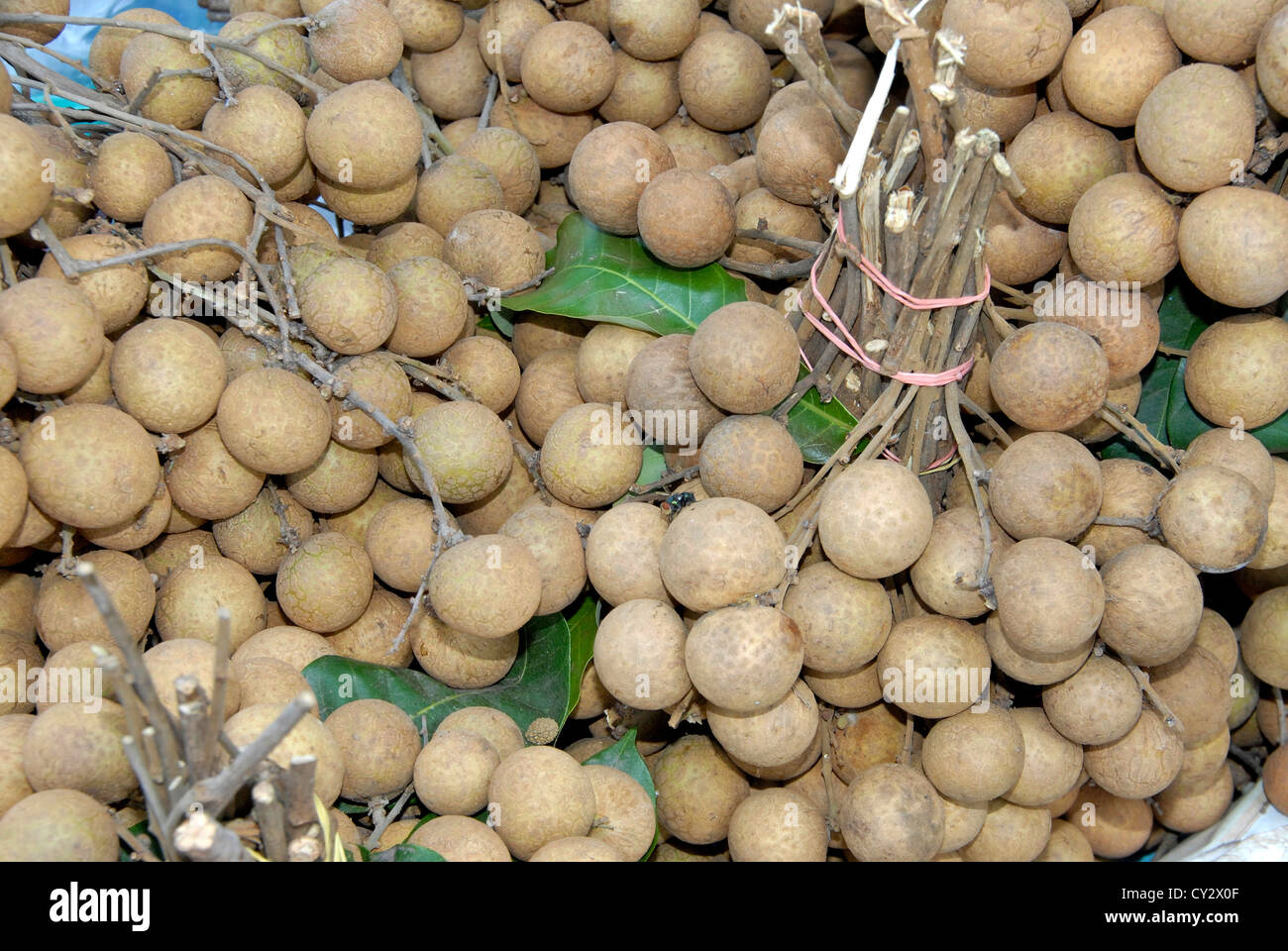 tropical fruit, market day, Vientiane, Laos Stock Photo - Alamy