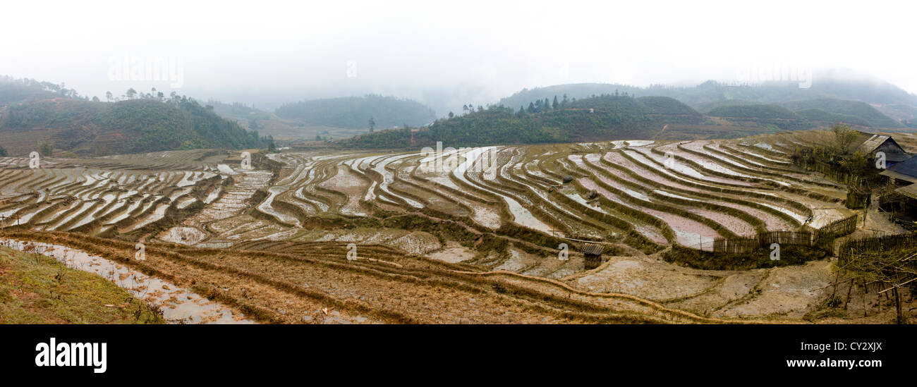 Terrace Paddy Fields, Sapa, Vietnam Stock Photo - Alamy