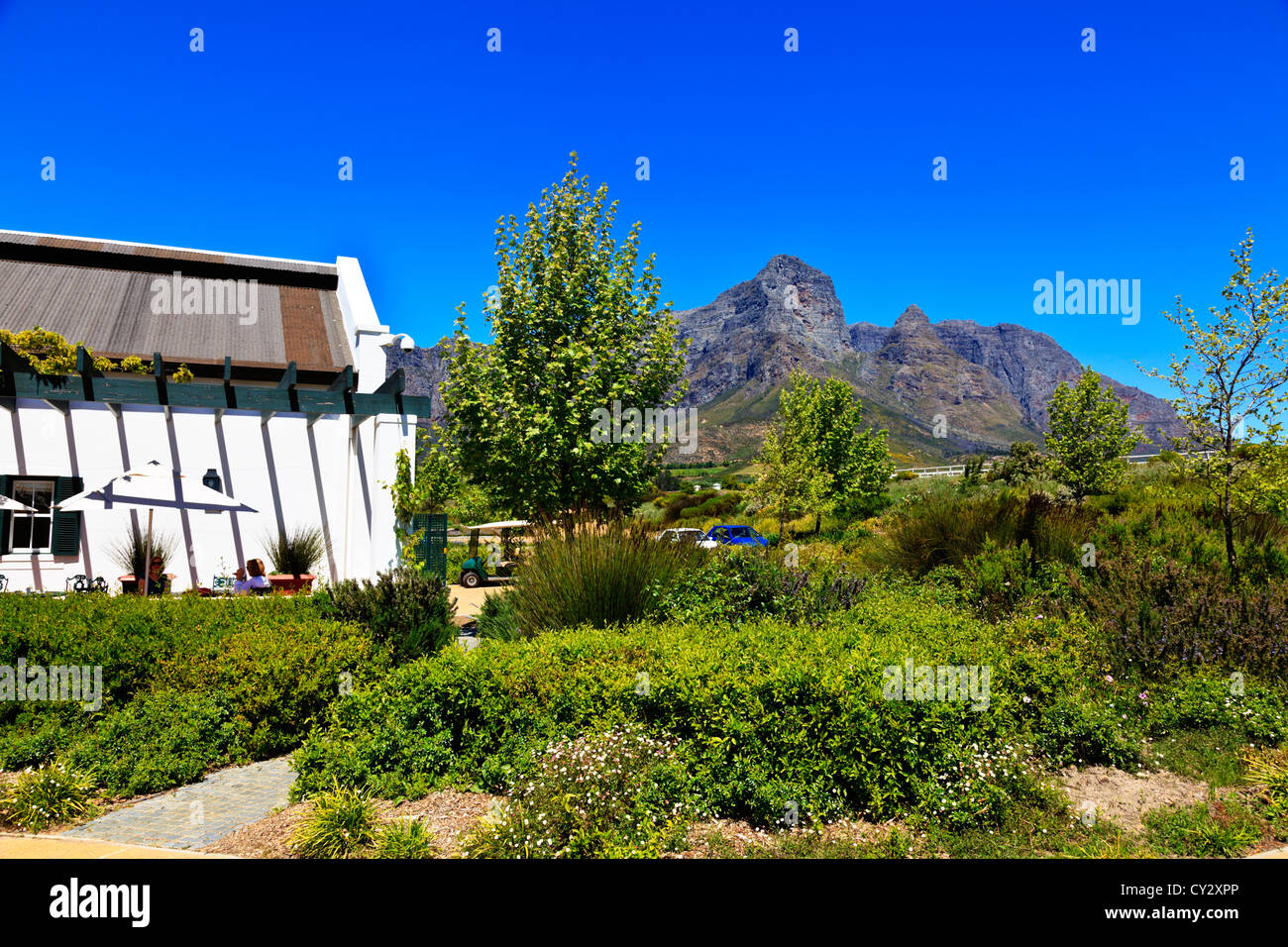 A wine farm in the Cape province of South Africa Stock Photo - Alamy