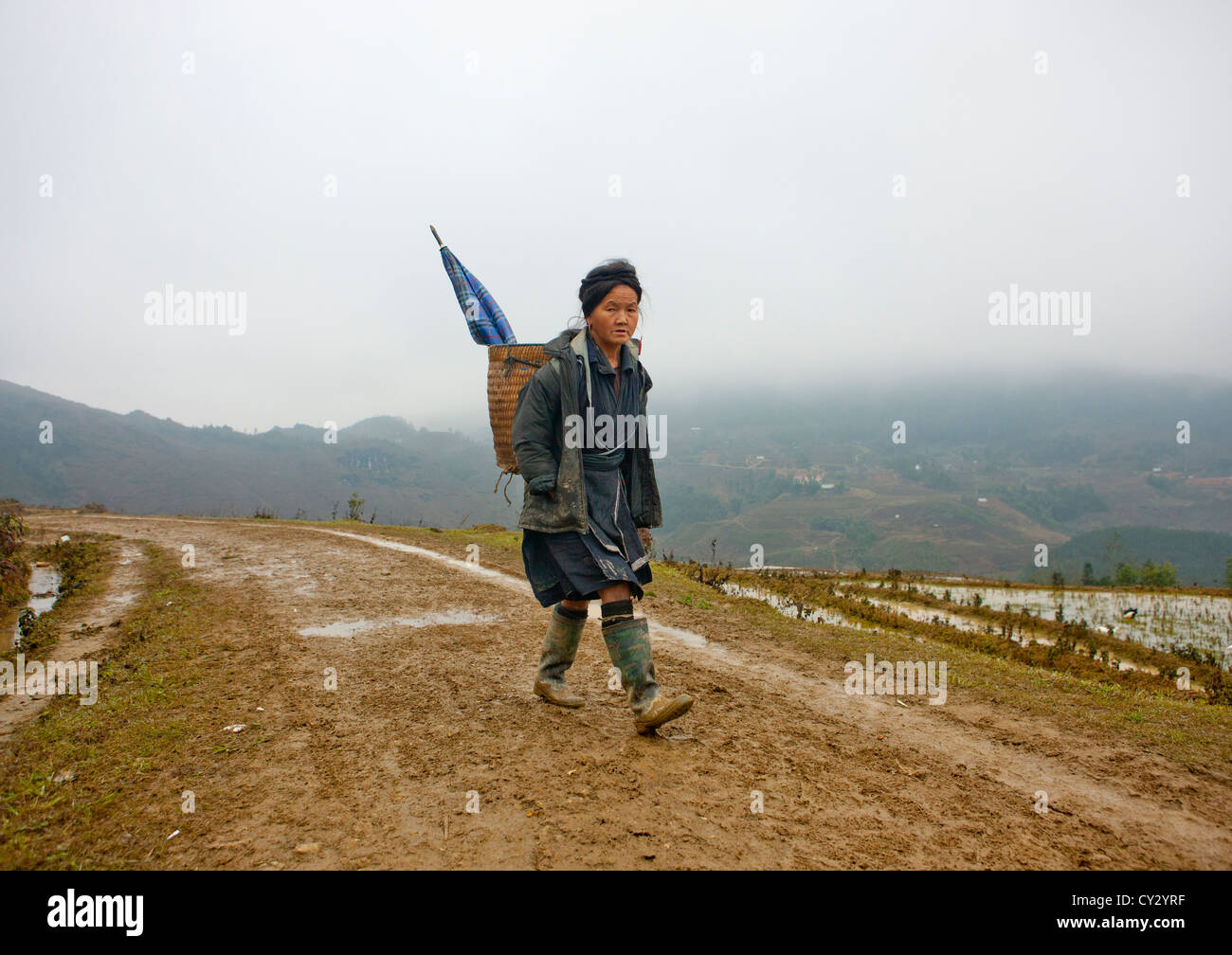 Black Hmong Boy With An Umbrella In The Basket Carrying On His Back ...