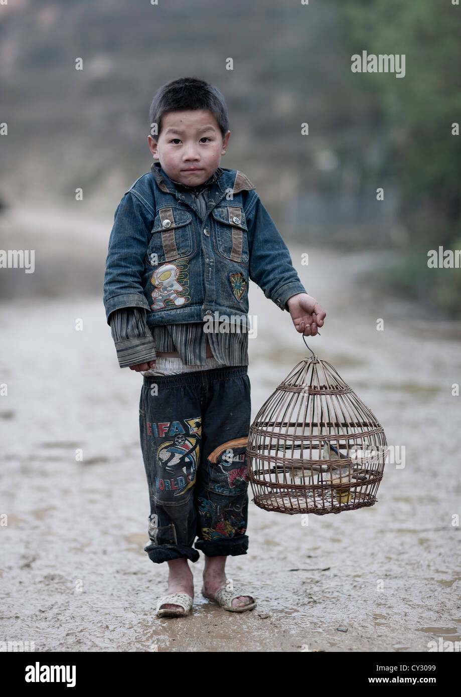 Black Hmong Boy Holding A Caged Bird, Sapa, Vietnam Stock Photo - Alamy
